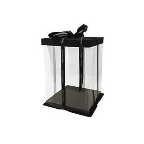 Αρκουδάκι από τριαντάφυλλα Rainbow 25 cm σε κουτί | G for Gadget